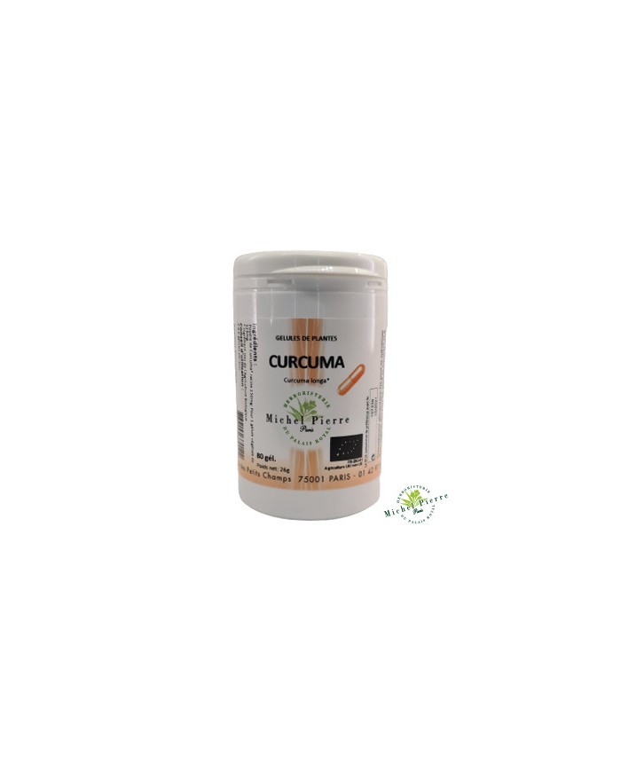 Curcuma en gélules Bio