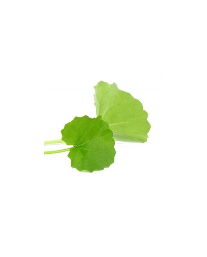 Mandukaparni (Centella asiatica) 125gel